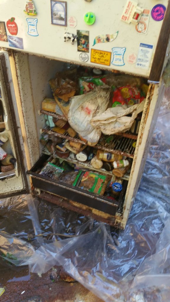 The Fridge - We Bought A Hoard